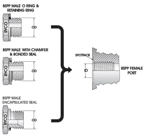 BSPT & BSPP Threads | Ryco Hydraulics