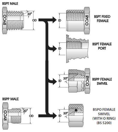 BSPT & BSPP Threads | Ryco Hydraulics